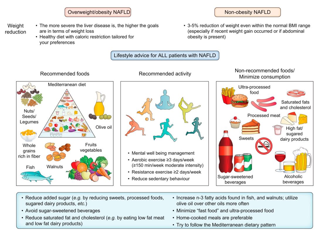 Accessible lay summary on fighting fatty liver disease launched by EASL ...