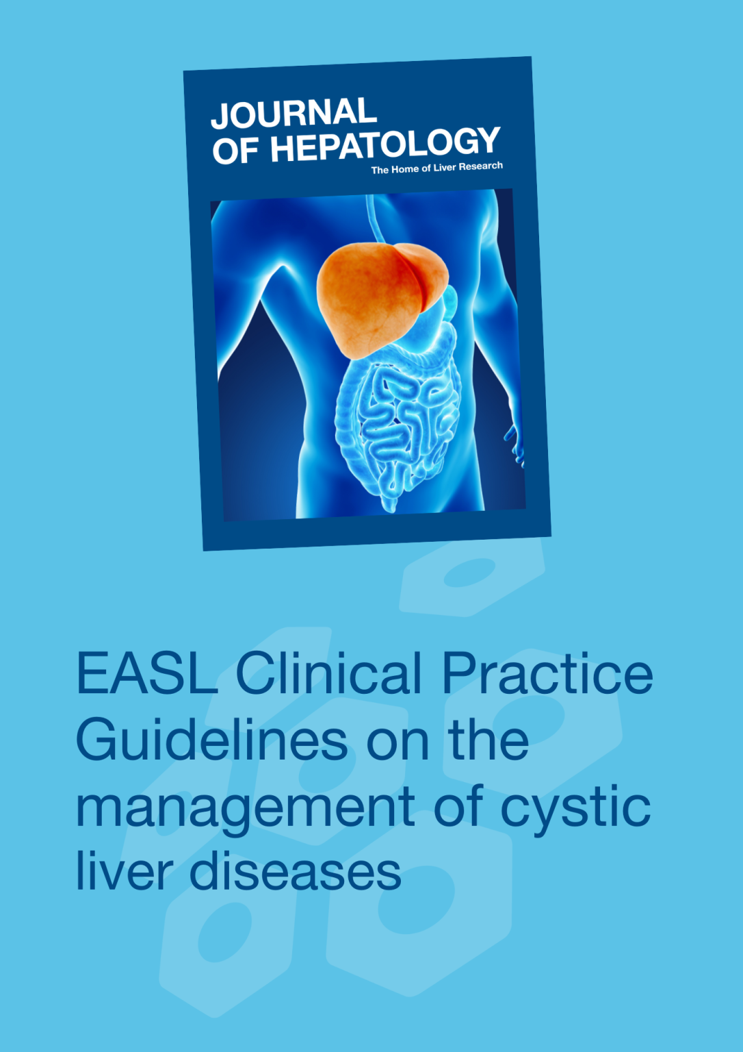 Clinical Practice Guidelines Archives - EASL-The Home of Hepatology.