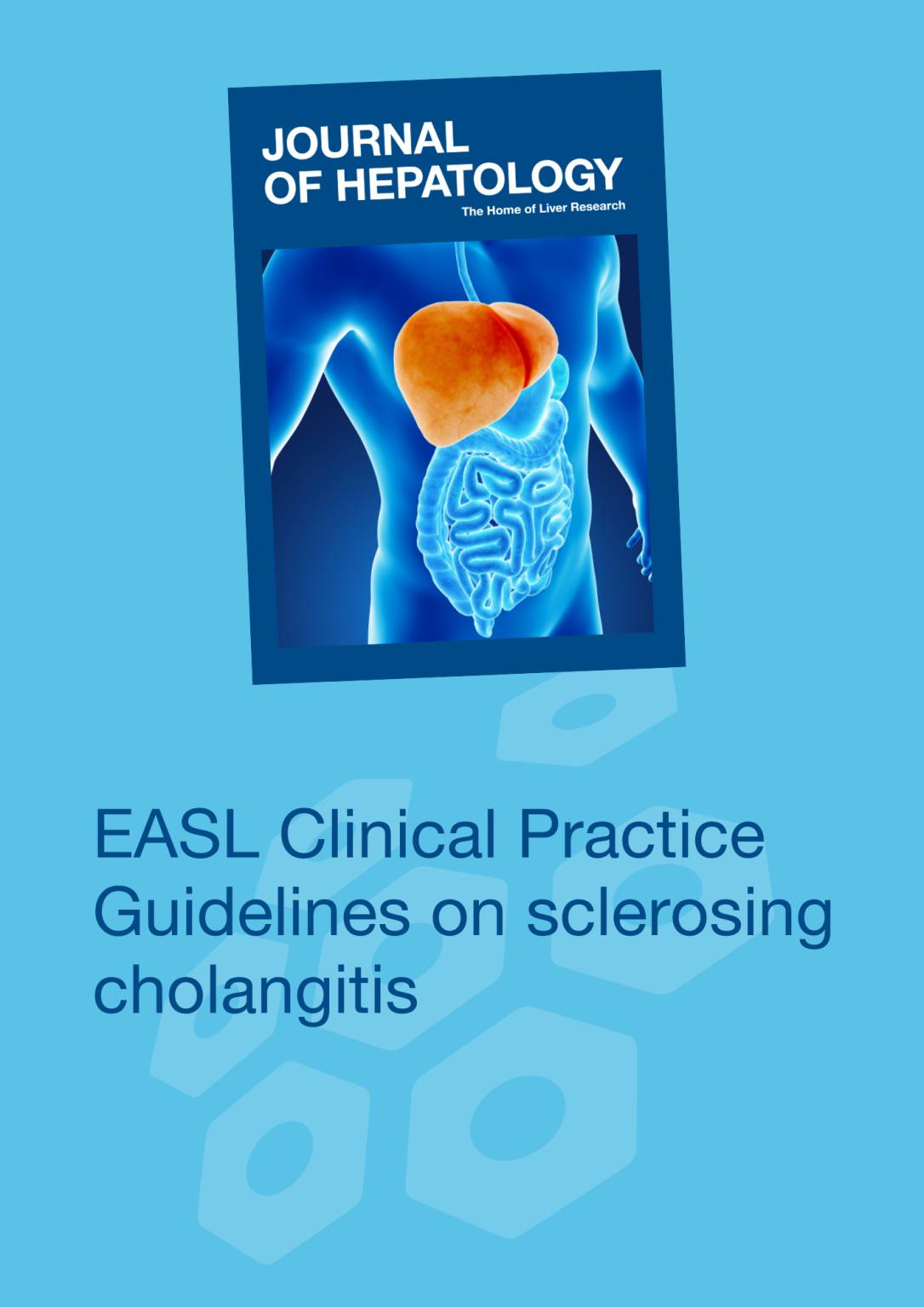 Clinical Practice Guidelines Archives - Page 2 of 6 - EASL-The Home of ...