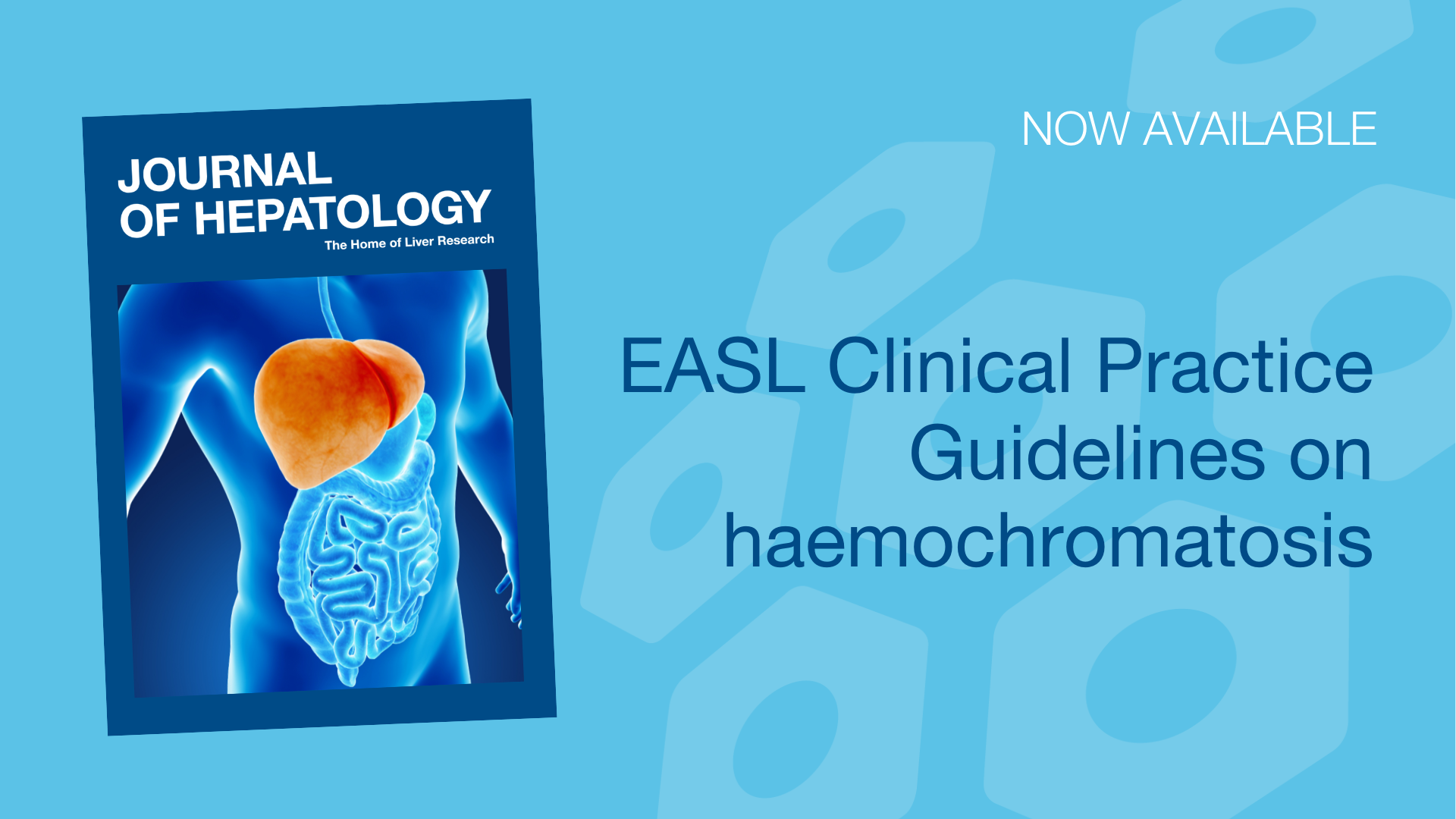 EASL Clinical Practice Guidelines On The Management Of Hepatic EASL Clinical Practice Guidelines On The Management Of Hepatic