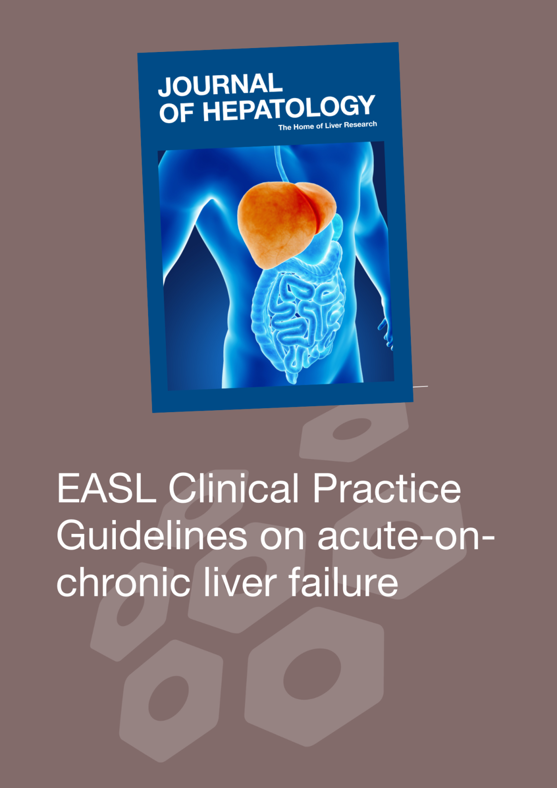 Cirrhosis and complications Archives - EASL-The Home of Hepatology.