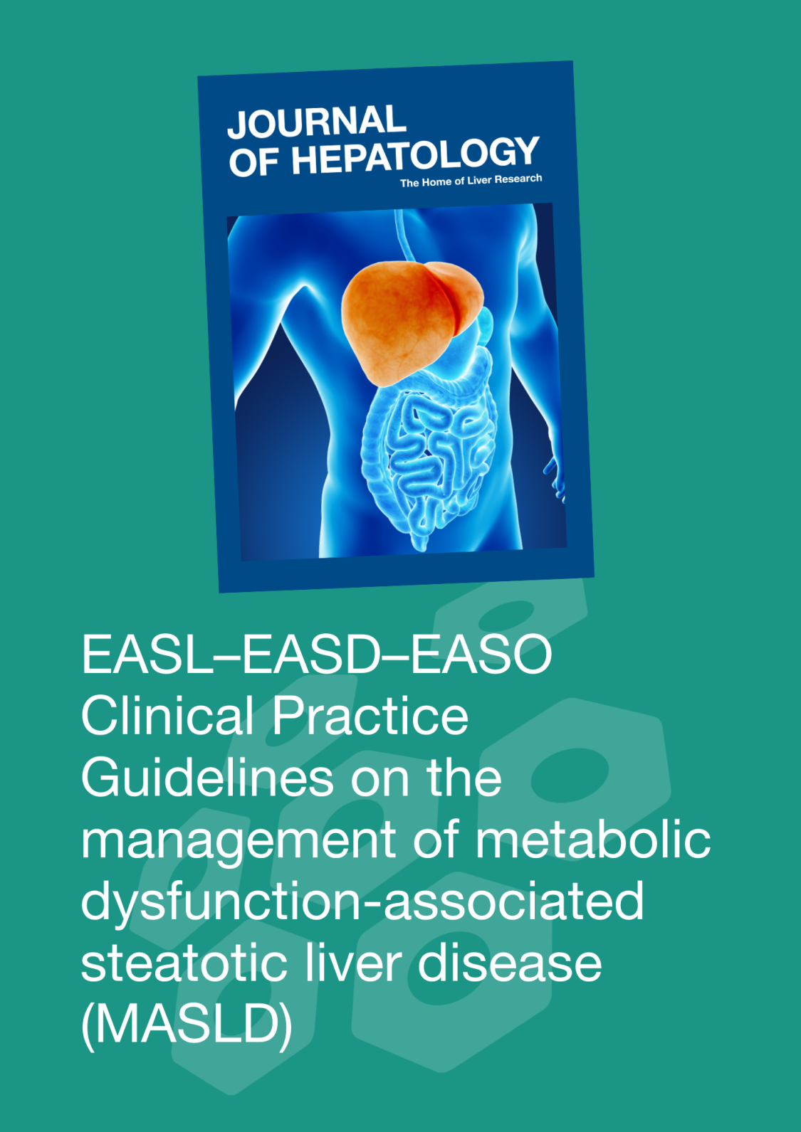 Clinical Practice Guidelines Archives - EASL-The Home of Hepatology.