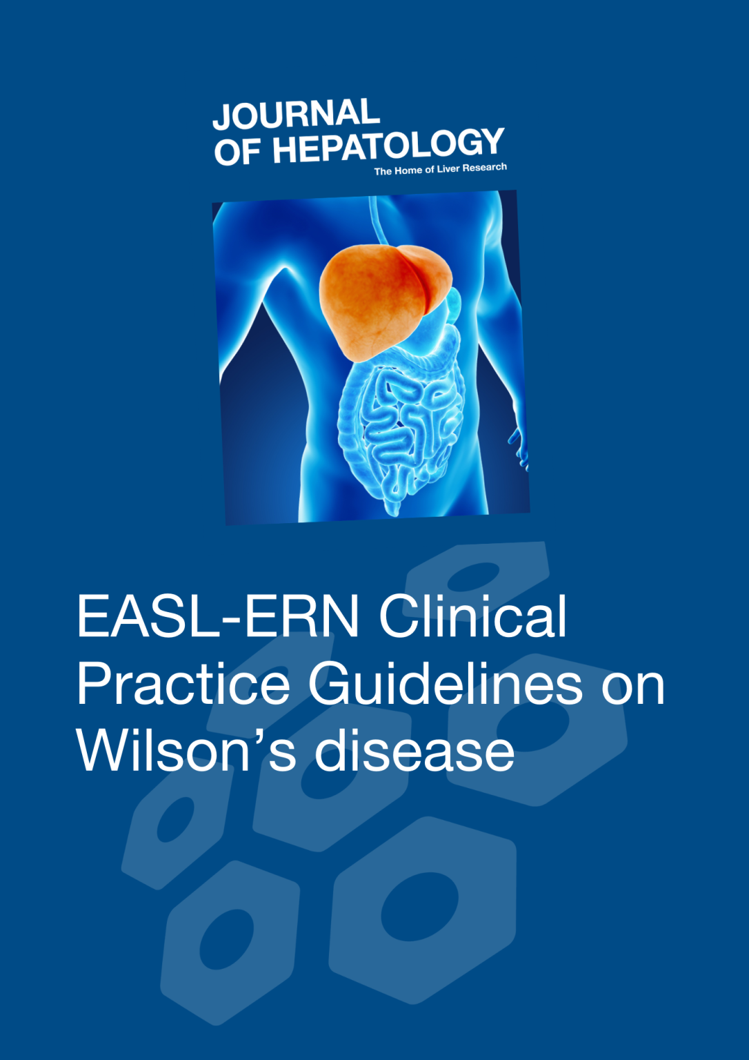 Clinical Practice Guidelines Archives - EASL-The Home of Hepatology.