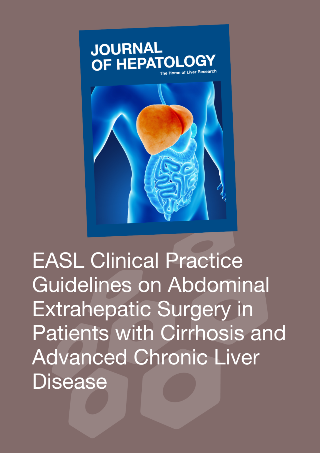 Clinical Practice Guidelines Archives - EASL-The Home of Hepatology.